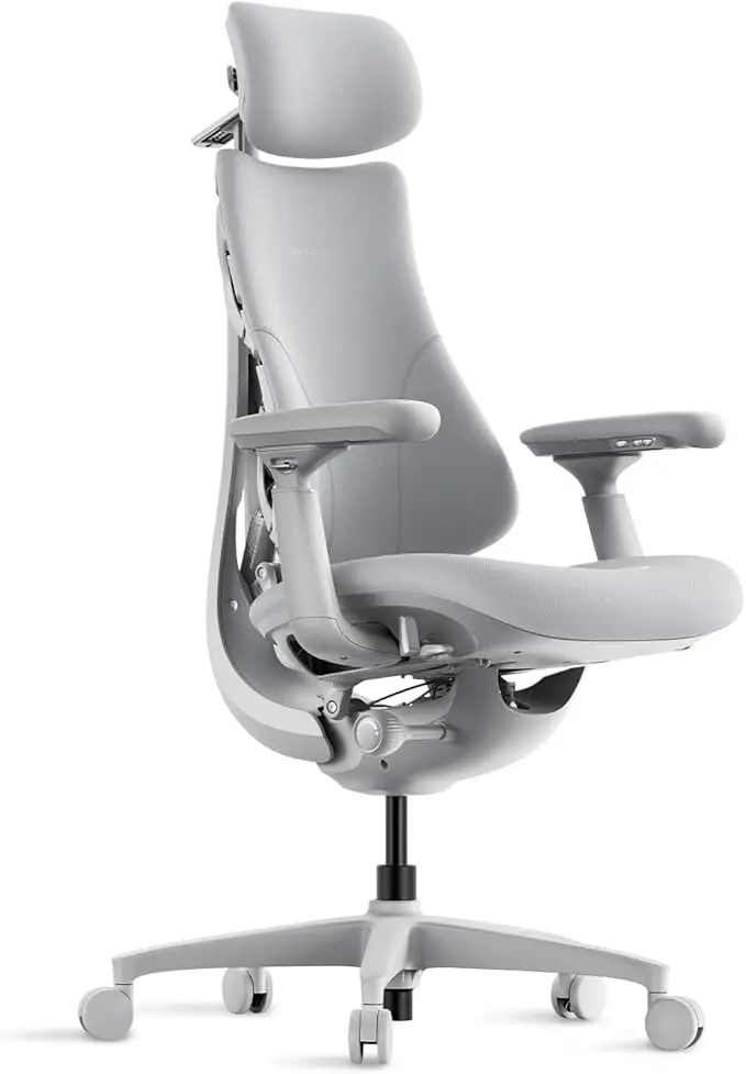 Libernovo Omni Dynamic Ergonomic Chair Space Grey 48cm 1pcs | Office ...